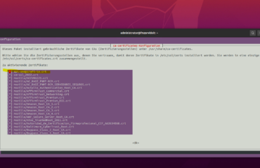 Ubuntu Linux SSL Zertifikat Import